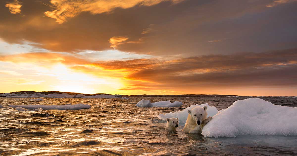 LOOK: Photos Show How Climate Change Is Impacting the Planet LOOK: Photos Show How Climate Change Is Impacting the Planet